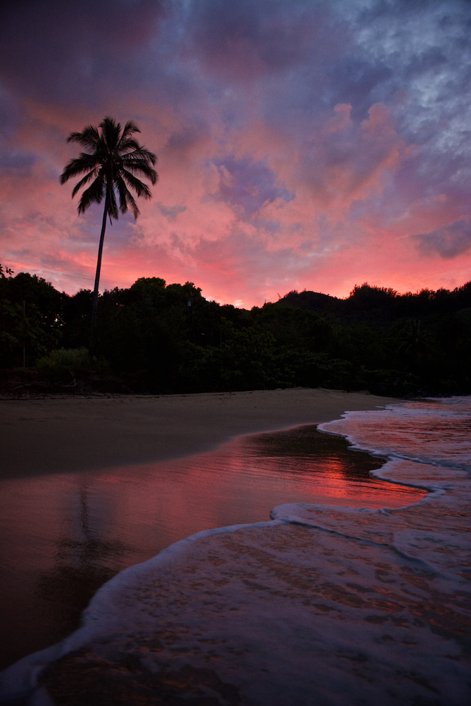 Tumblr Paradise Beach